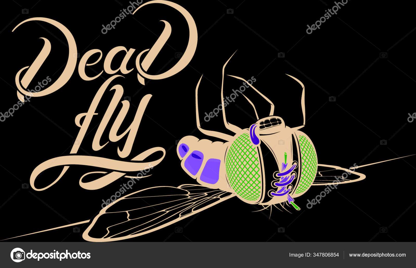 Funny Dead Fly Original Typography Stock Vector Image by ©YAYImages ...