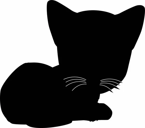 Siluet Hitam Kucing Ilustrasi Vektor Vektor Stok oleh ©YAYImages 347869330