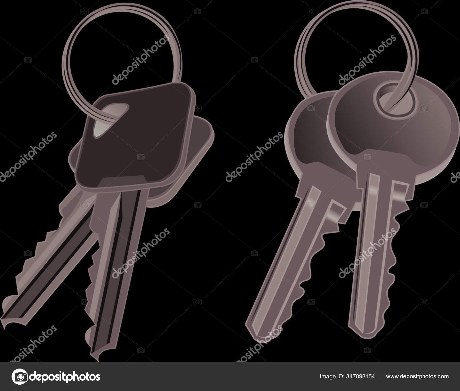 Keys Vector Illustration White Background Isolated Stock Vector Image ...