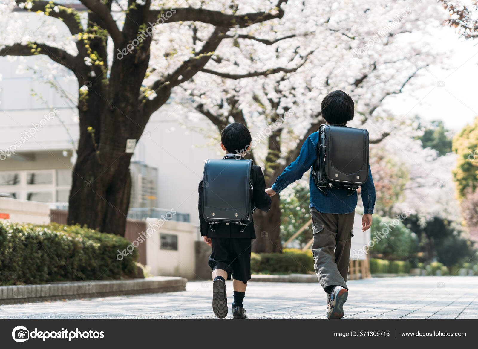 Japanese Upper Elementary School Students First Graders Holding Hands ...