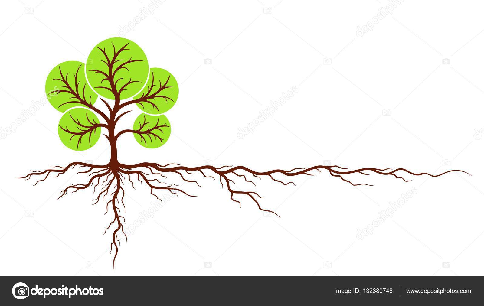Tree with roots. Stock Vector Image by ©Designer_an #132380748