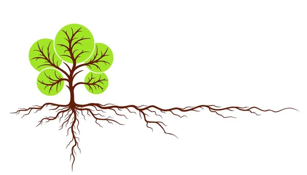 Symbol Tree Roots Stock Vector by ©Designer_an 275595392
