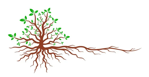 Symbol Tree Roots Stock Vector by ©Designer_an 275595392