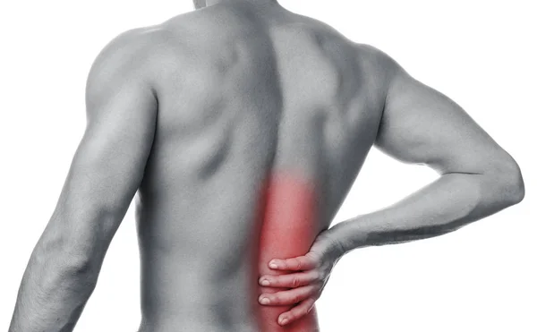 Small of the back Stock Photos, Royalty Free Small of the back Images ...