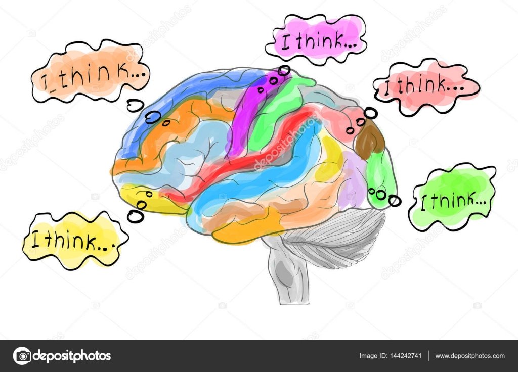 Thinking working human brain Stock Vector by ©sudok1 144242741