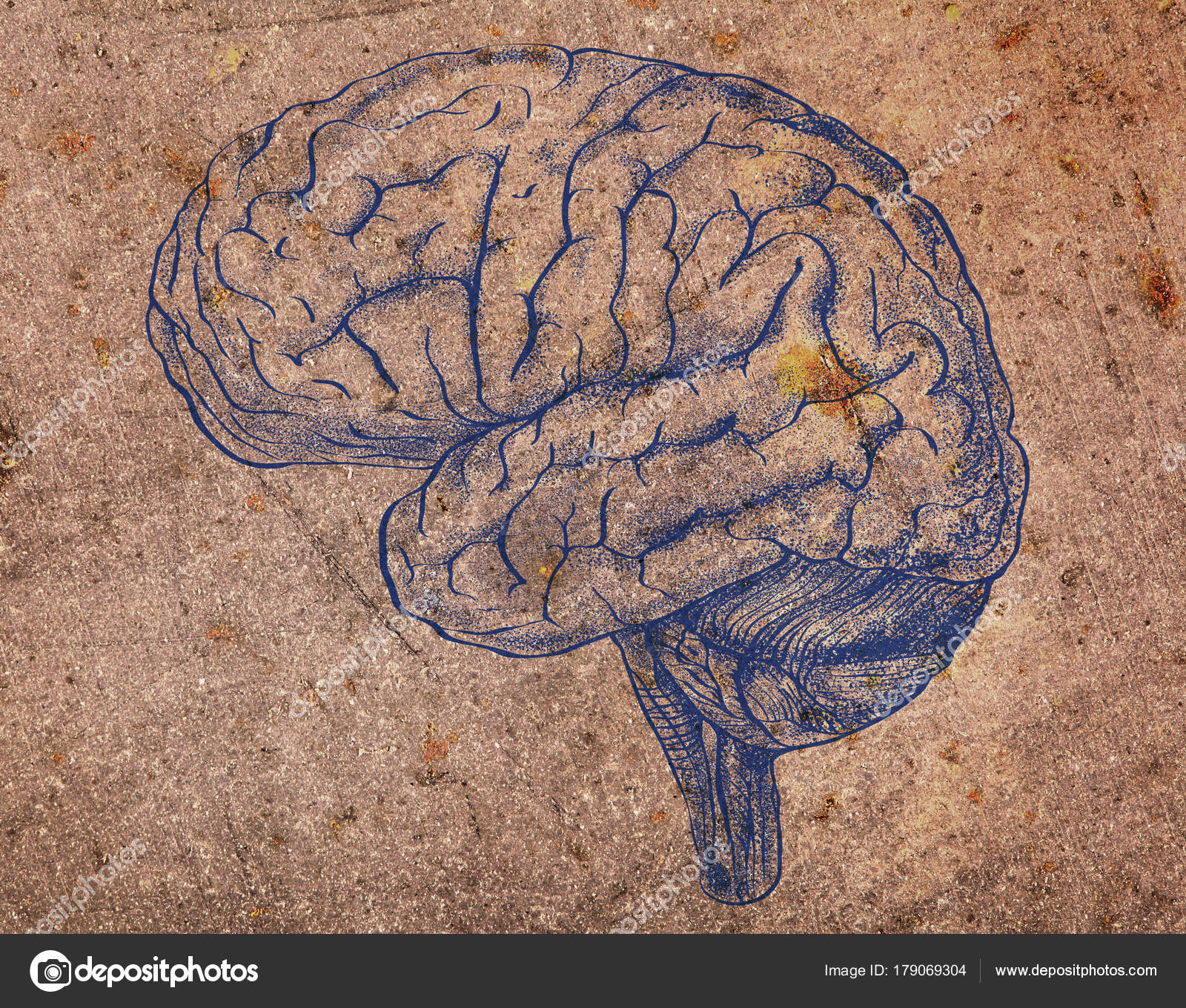 Brain Illustration Texture