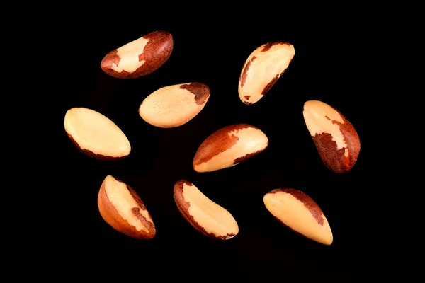 Brazilian nuts Stock Photos, Royalty Free Brazilian nuts Images ...