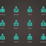 Human body systems pictograms on green background. Stock Vector Image ...