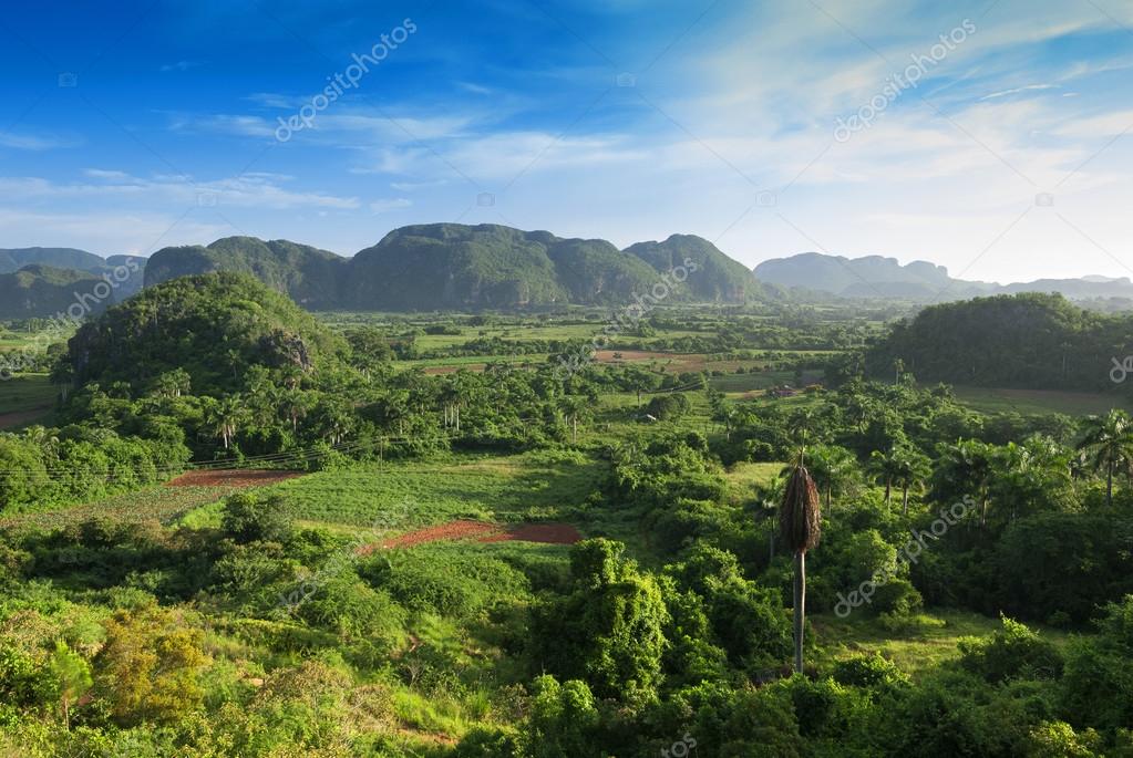 Palabra Guajiro en el diccionario