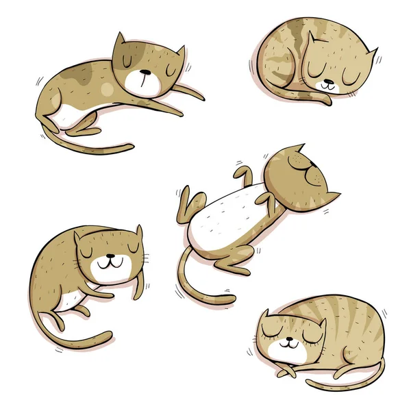 Cat knead claws Stock Photos, Royalty Free Cat knead claws Images ...