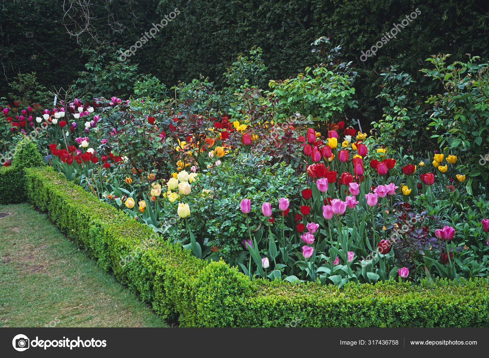 Springtime Border