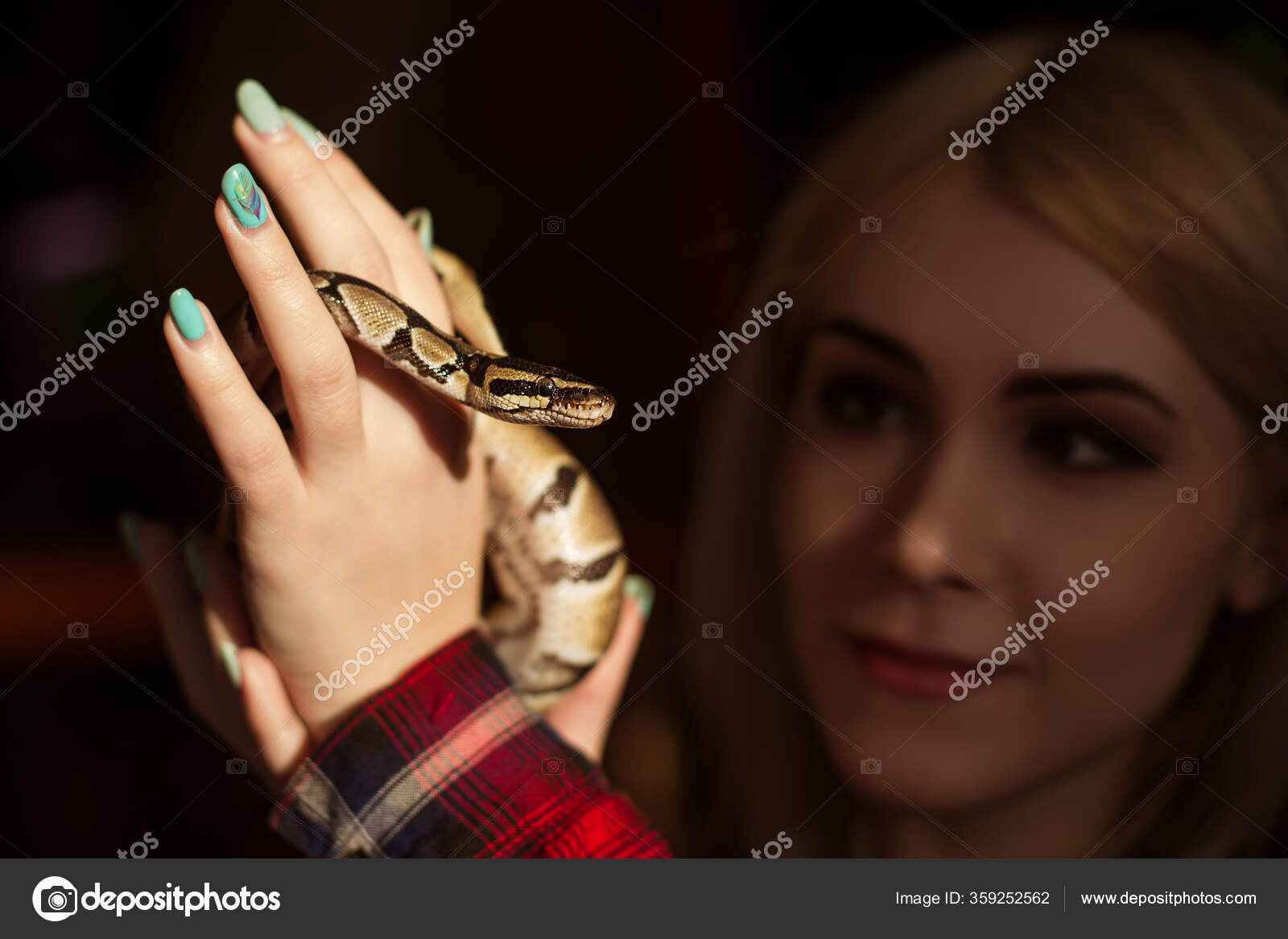 Beautiful Blond Woman Holding Small Royal Python Her Hands Contact ...