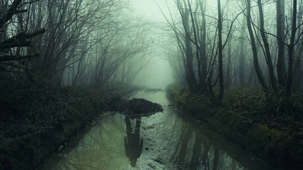 Dark forest stream Stock Photos, Royalty Free Dark forest stream Images ...