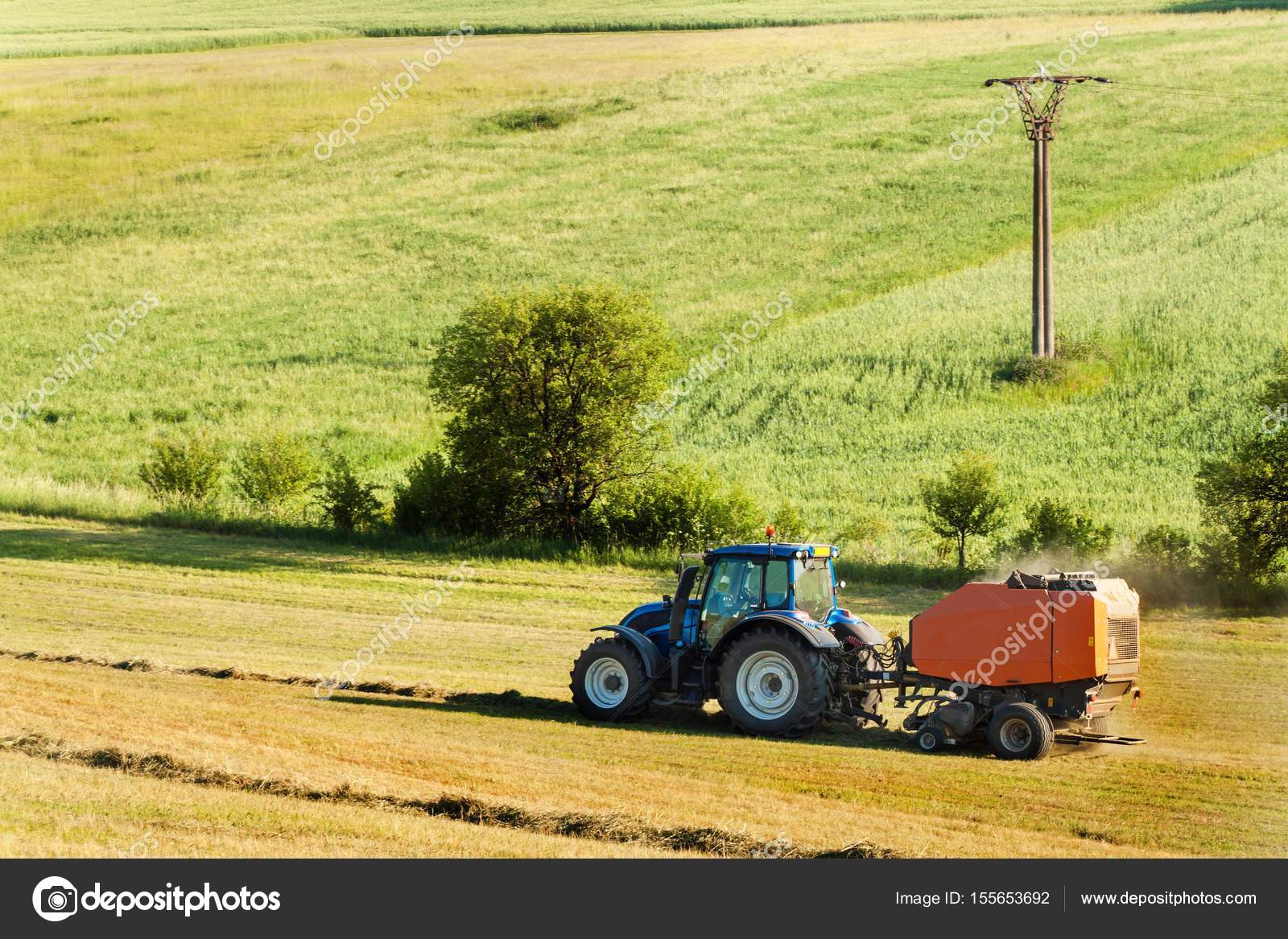 Blue tractor collects dry hay. Agricultural work on the farm in the ...