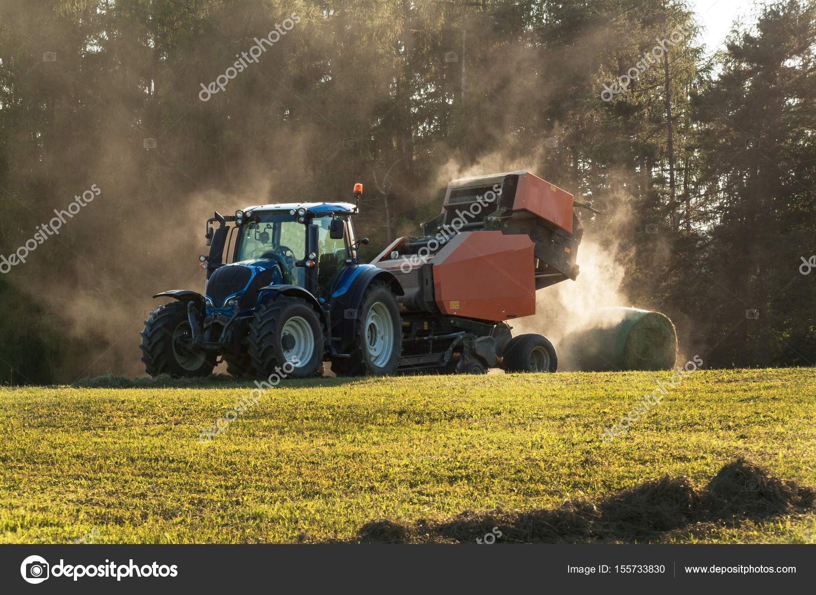 Blue tractor on the pasture.. Agricultural work on the farm in the ...