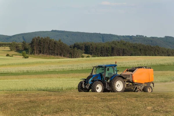 Blue tractor on the pasture.. Agricultural work on the farm in the ...