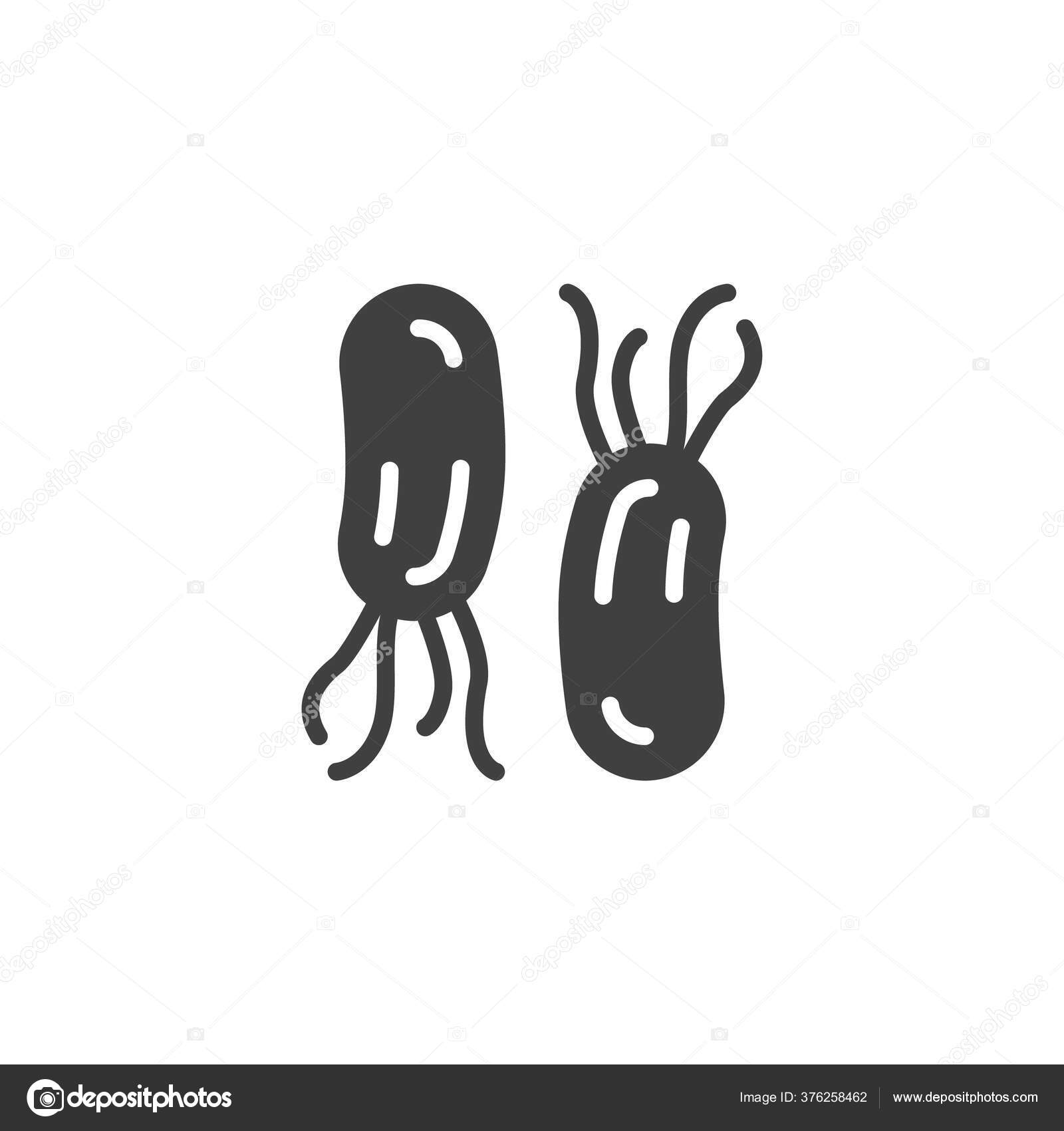 H. pylori bacteria Infection vector icon Stock Vector Image by ©avicons ...
