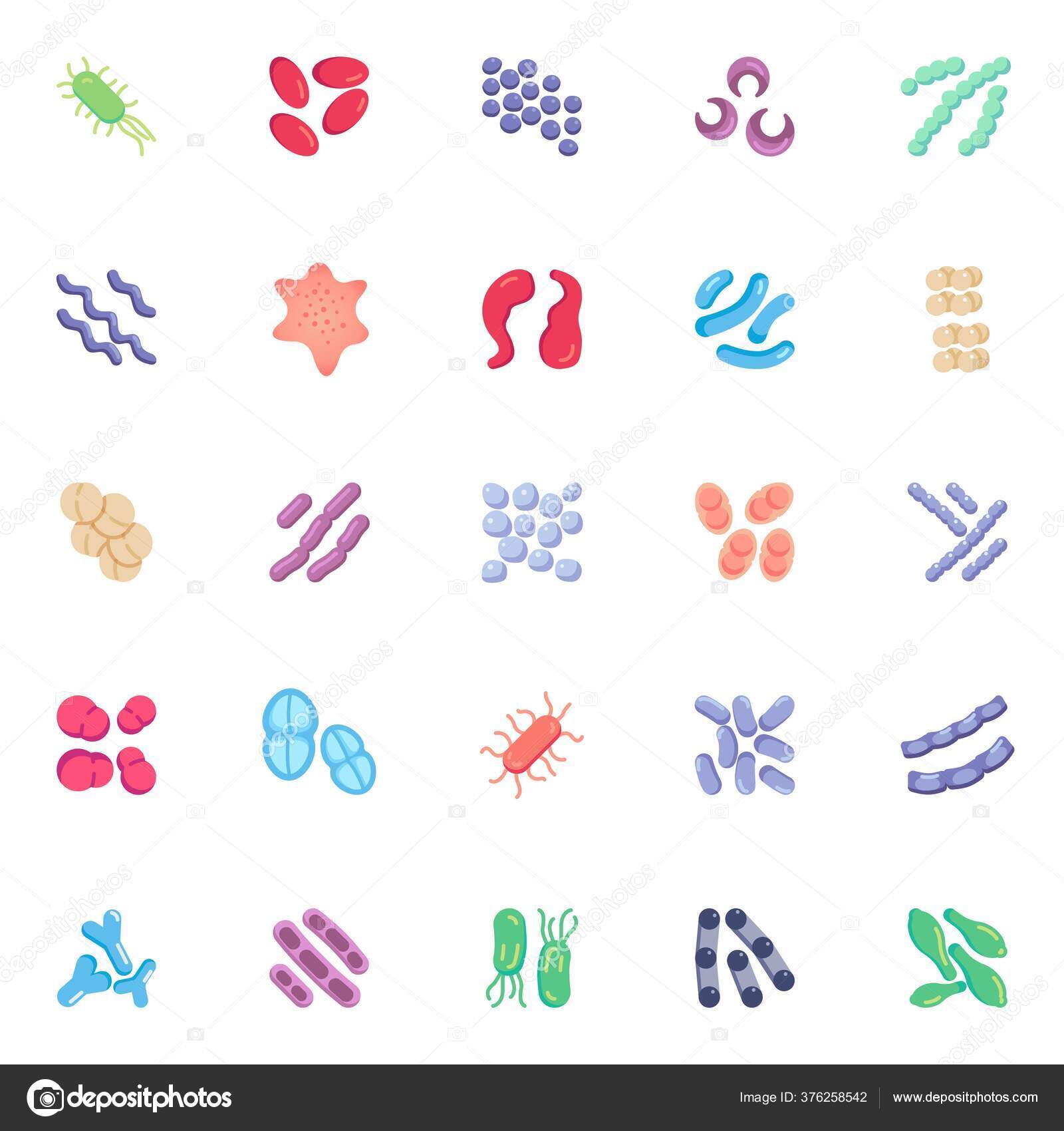 Virus and Bacteria cell elements collection Stock Vector by ©avicons ...