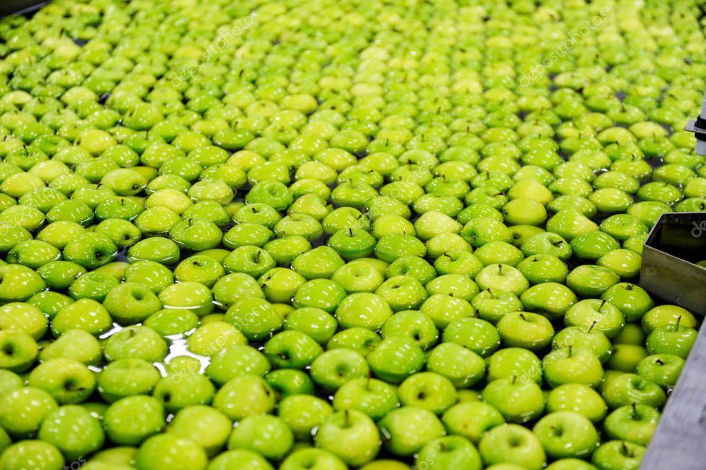 Industria de transformación de alimentos 2022