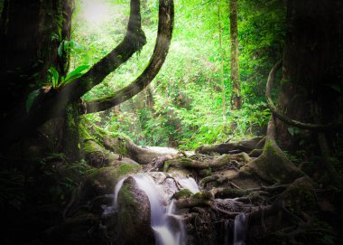 Stunning Waterfall Stock Photo by ©kwest 5215754