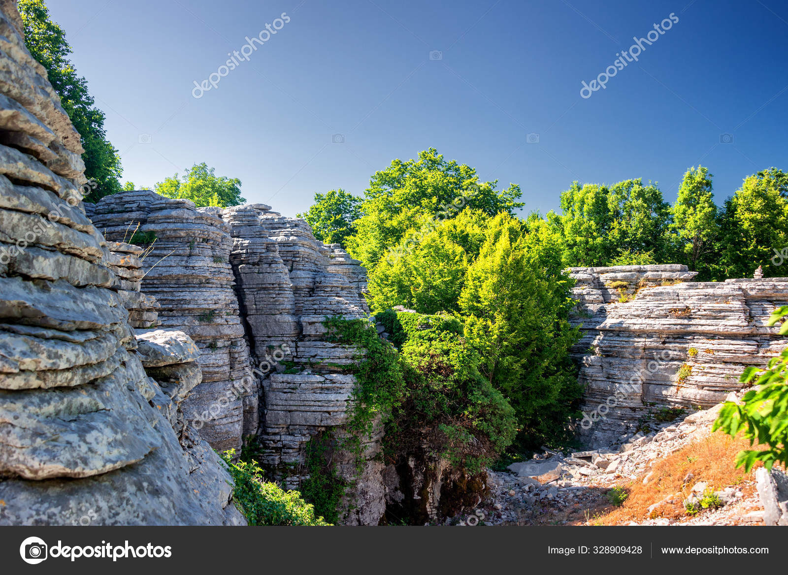 Stone Forest Natural Rock Formation Created Multiple Layers Stone ...