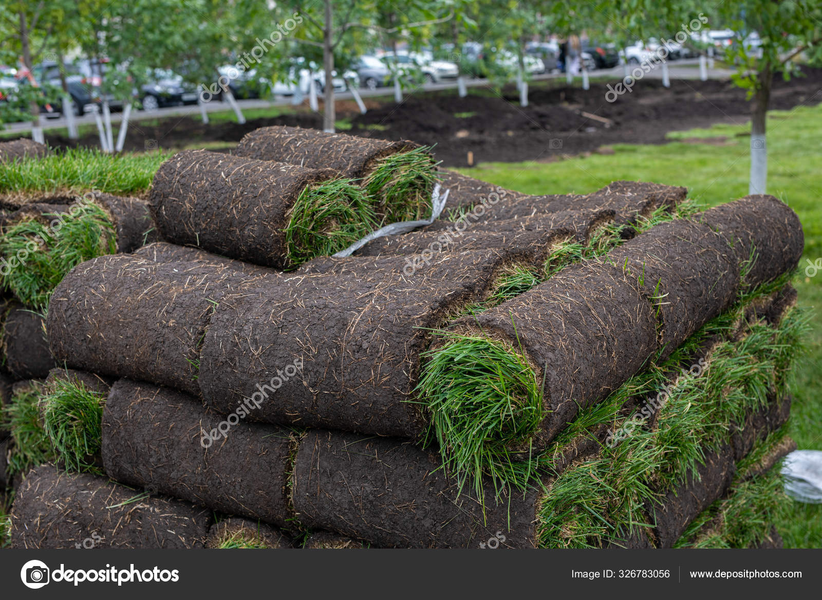 Natural grass turf. Preparing to install natural lawns Stock Photo by ...
