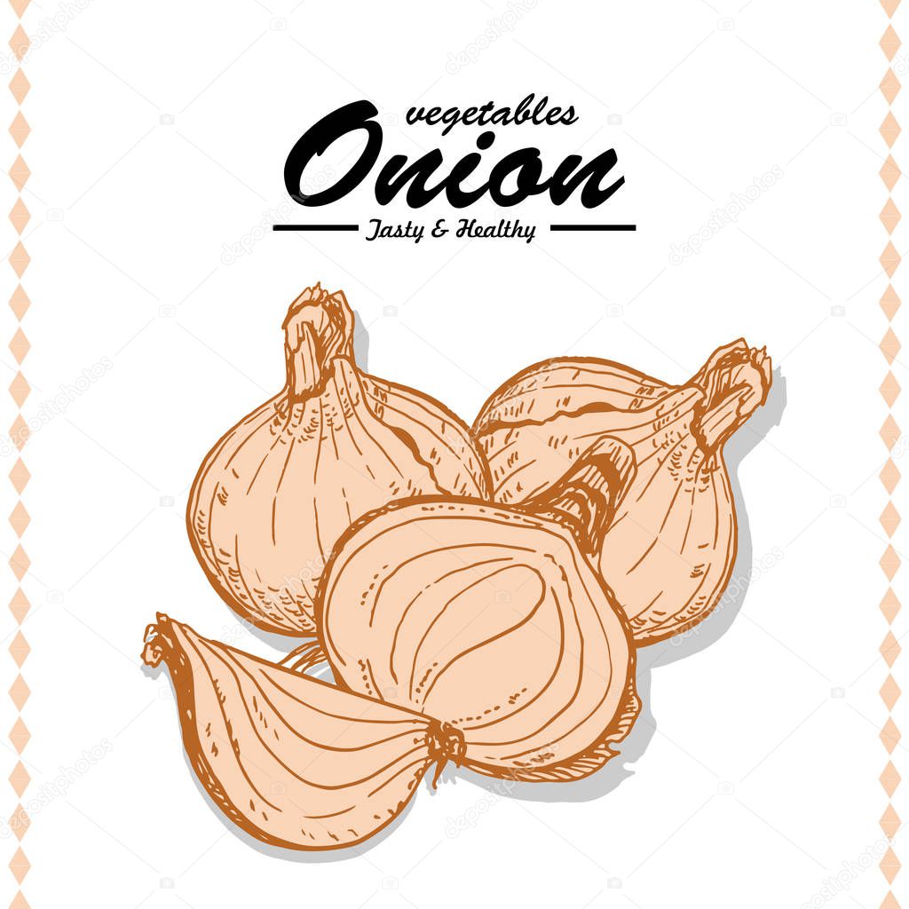 Dibujo a mano ilustración de una cebolla 2023