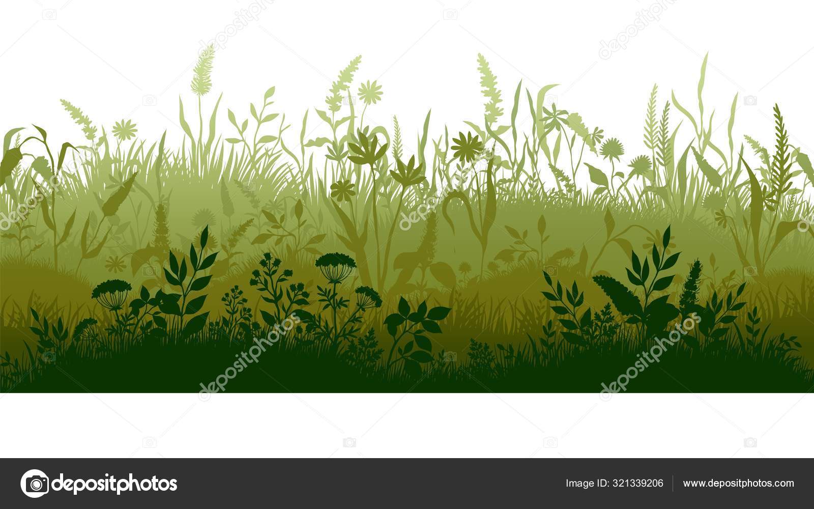 Grass silhouette. Marsh and swamp plains with weed and plants, cartoon ...