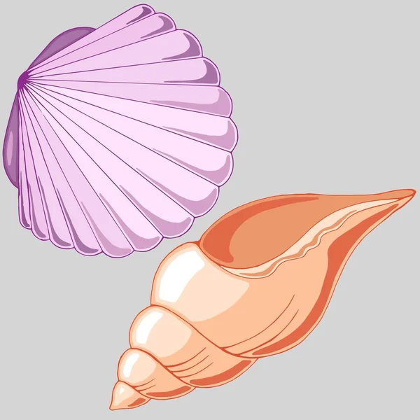 100,000 Cartoon shell Vector Images | Depositphotos