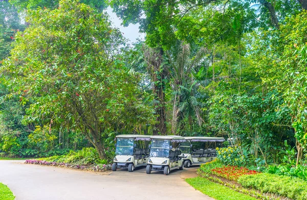 The Garden buses - Stock Image - Everypixel