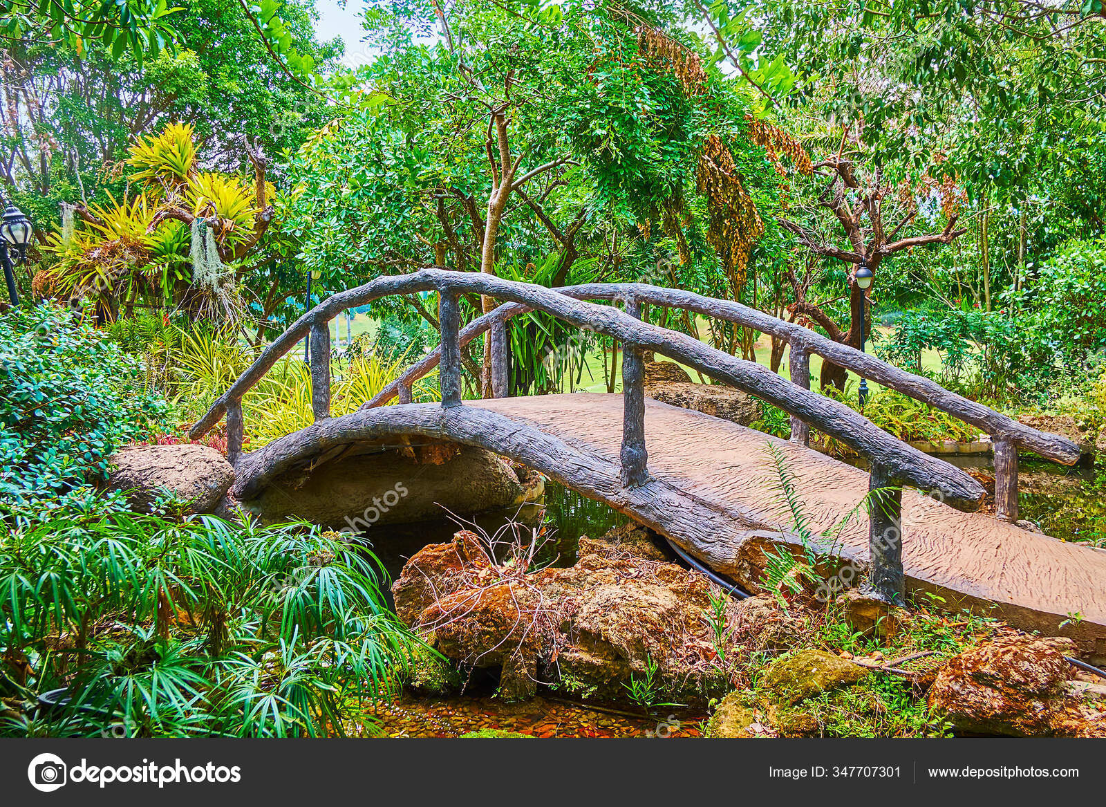Malý Most Přes Úzký Potok Obklopen Houštinami Rajapruek Parku Chiang ...