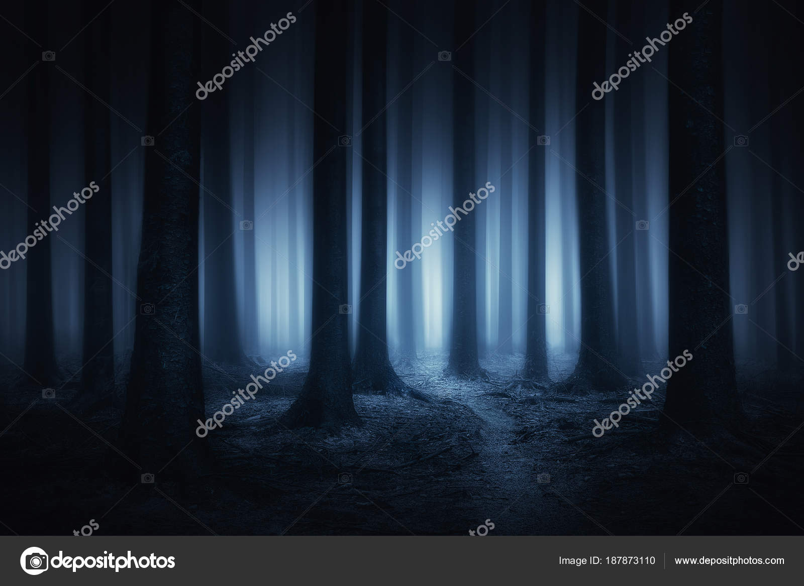 Forêt sombre et effrayante la nuit image libre de droit par mimadeo ...