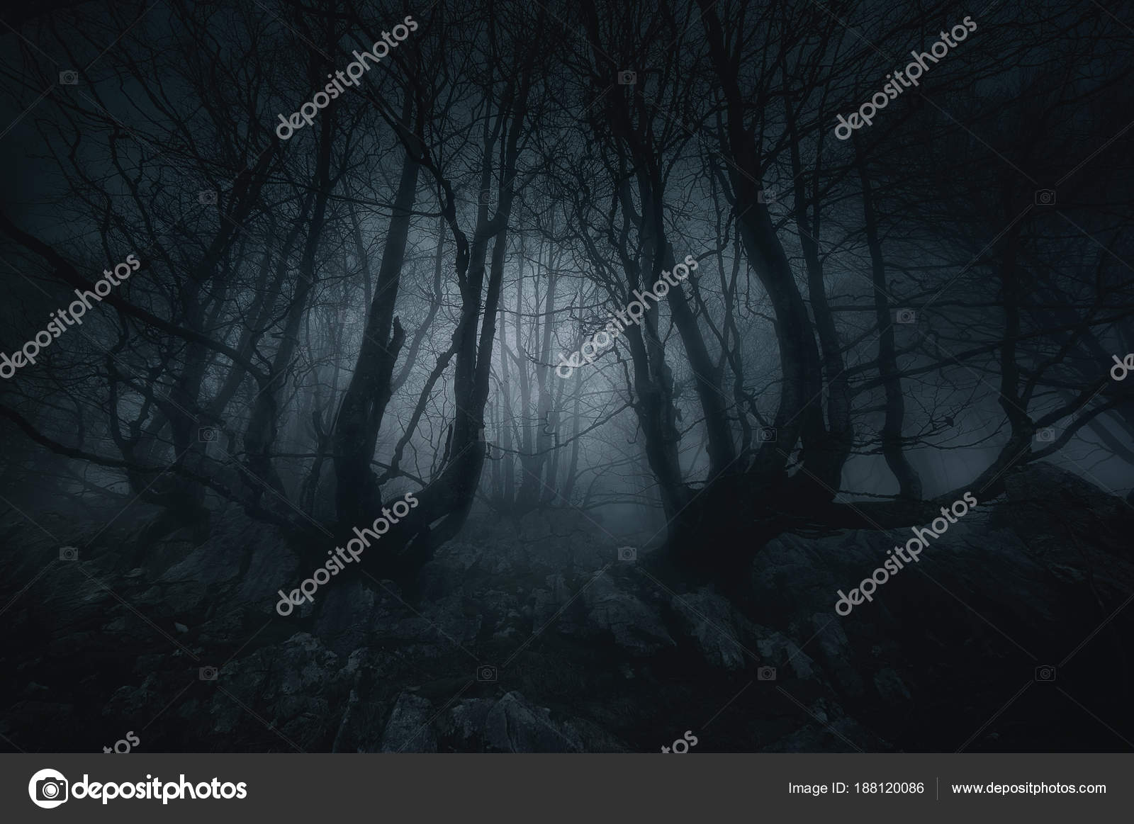 Nightmare forest with creepy trees — Stock Photo © mimadeo #188120086