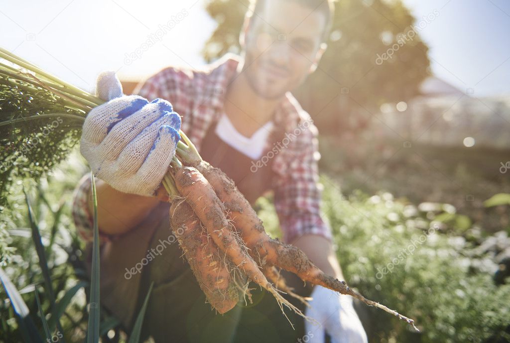 Man farmer on his field Stock Photo by ©gpointstudio 128300534