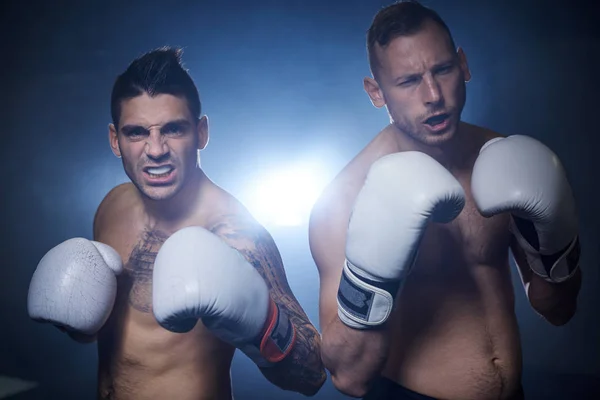 Two men boxing — Stock Photo © gpointstudio #152759470