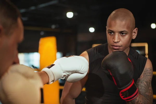 Two male boxers working out together at boxing gym Stock Photo by ...