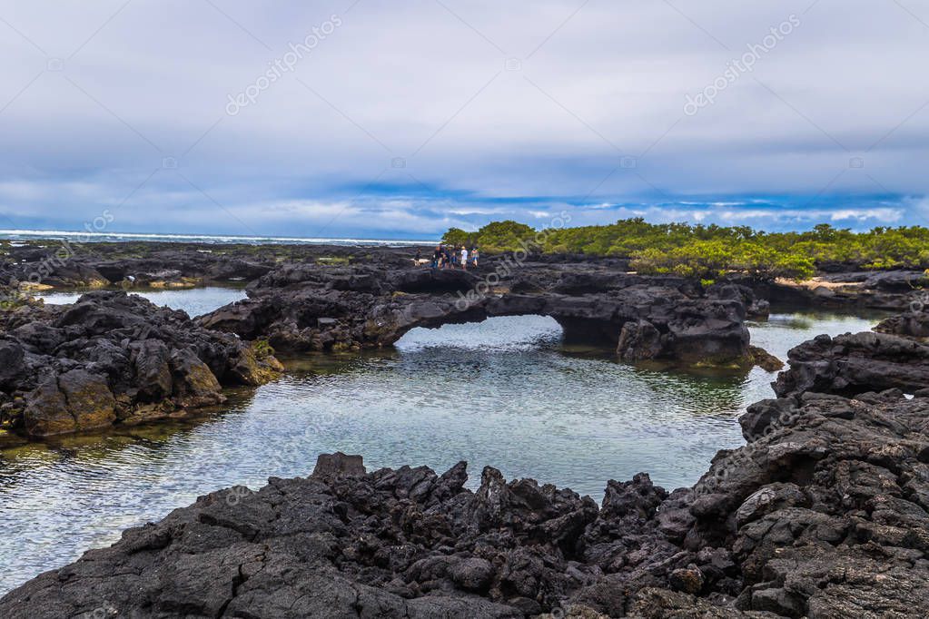 Islas Gal pagos - 26 de agosto de 2017: Paisaje de los t neles de lava de la Isla Isabela, Islas ...
