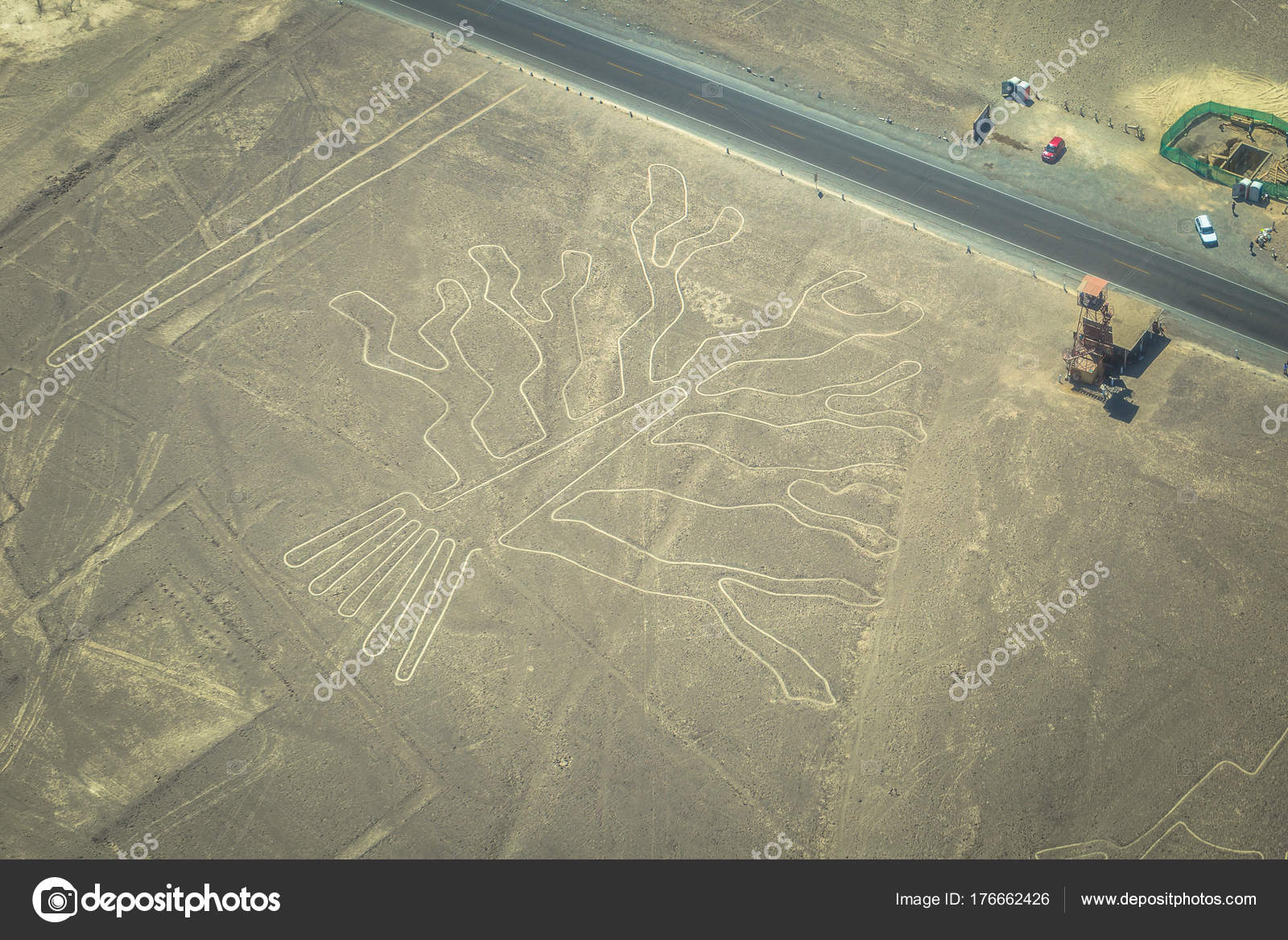 Nazca Peru August 2017 Tree Figure Nazca Lines Nazca Peru – Stock ...