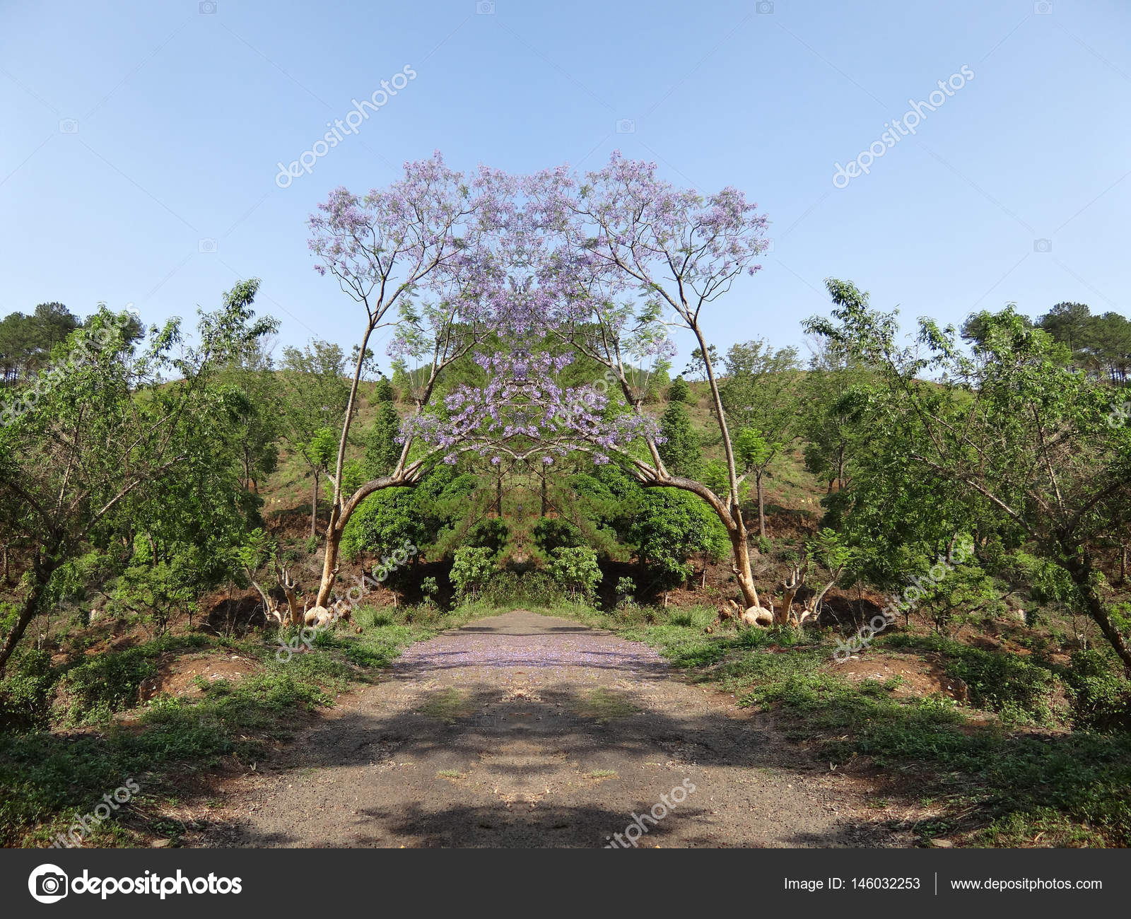 Tree and plants, the protector of the nature — Stock Photo © mdswriter ...