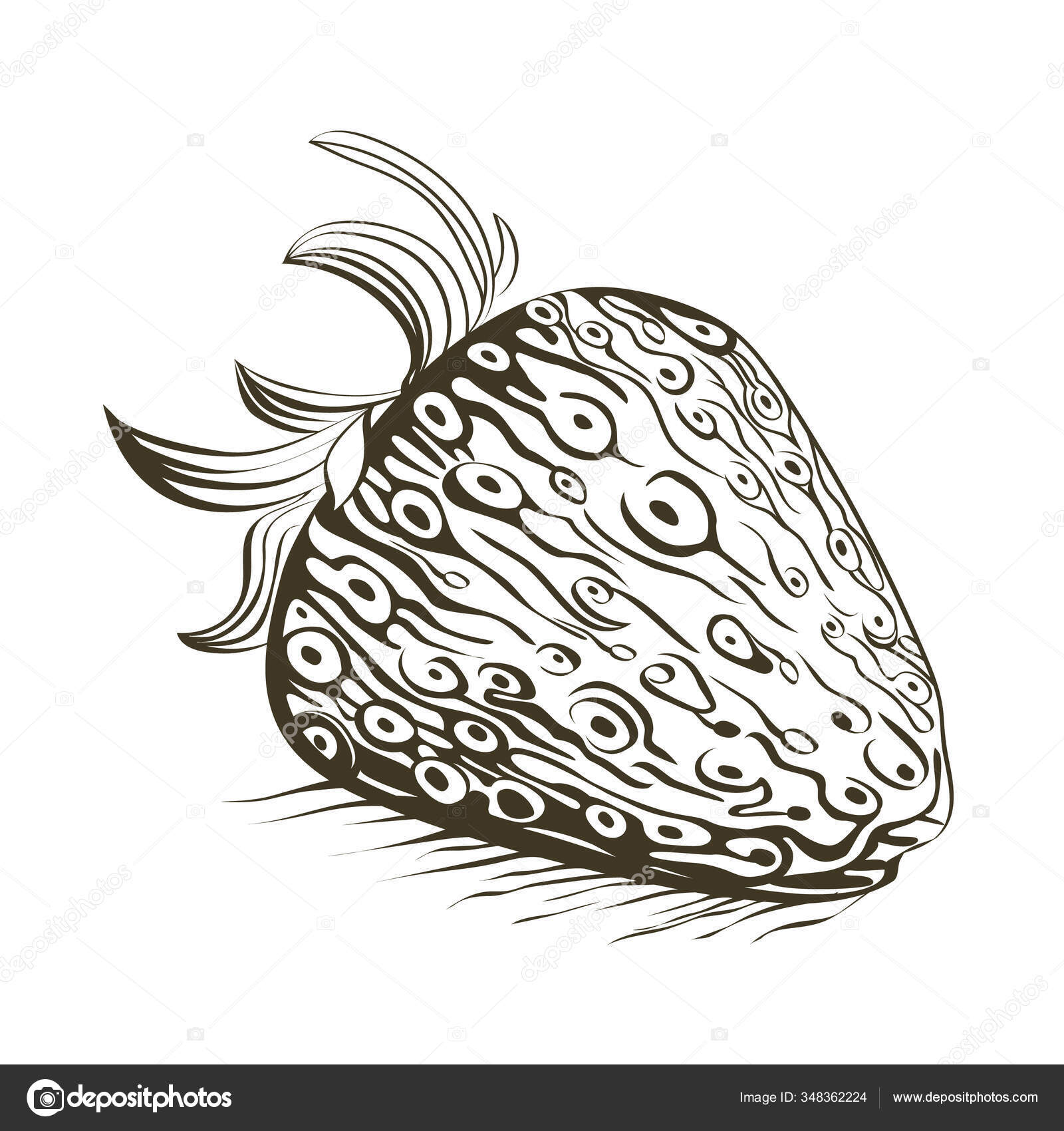 Ink Strawberry Herbal Illustration Strawberry Flowers Leaves Set Hand ...