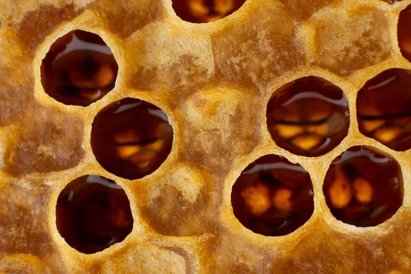 Honeycomb structure Stock Photo by ©jimbo3904 22492453 Honeycomb structure Stock Photo by ©jimbo3904 22492453