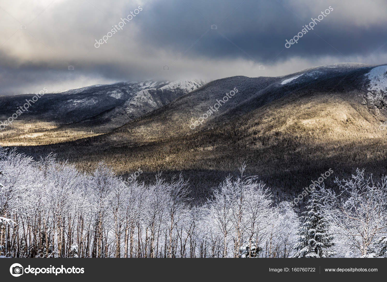 Quebec Winter Landscape