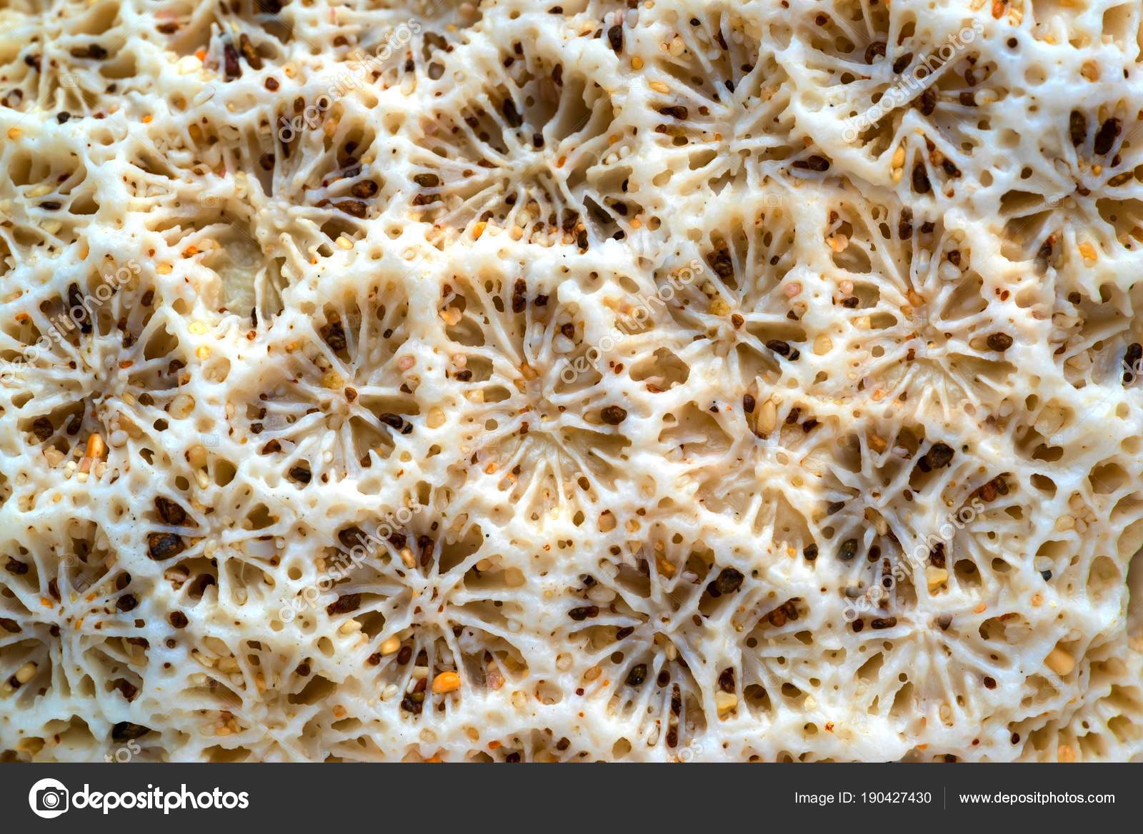 Natural texture of a sea coral — Stock Photo © malven #190427430