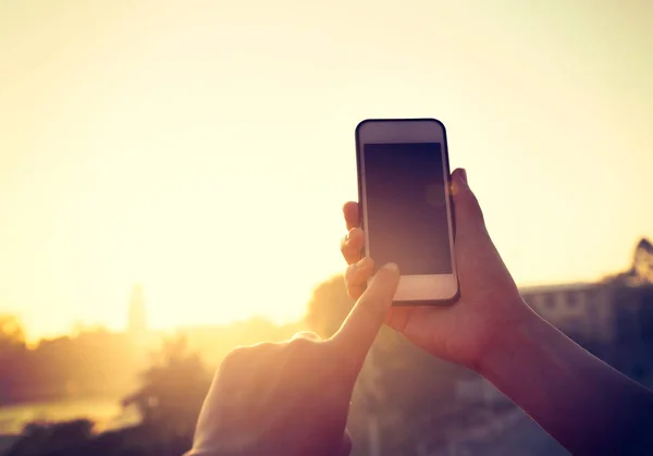female hands use cellphone - Stock Image - Everypixel
