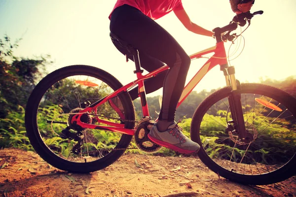 riding mountain bike - Stock Image - Everypixel