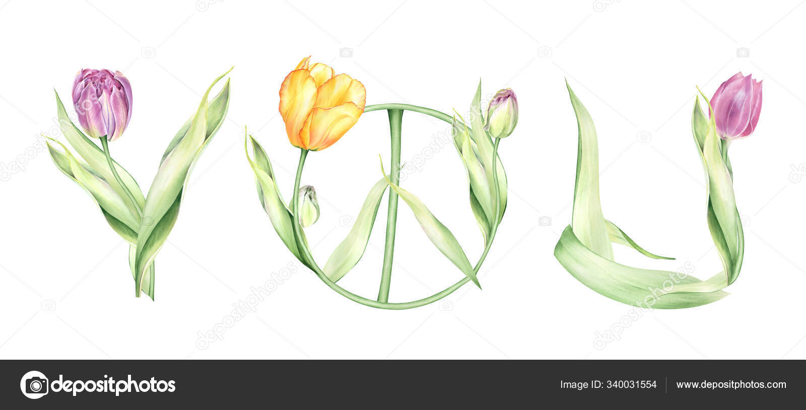 Watercolor Floral Spring Lettering Tulips Arrangements Peace Sign ...