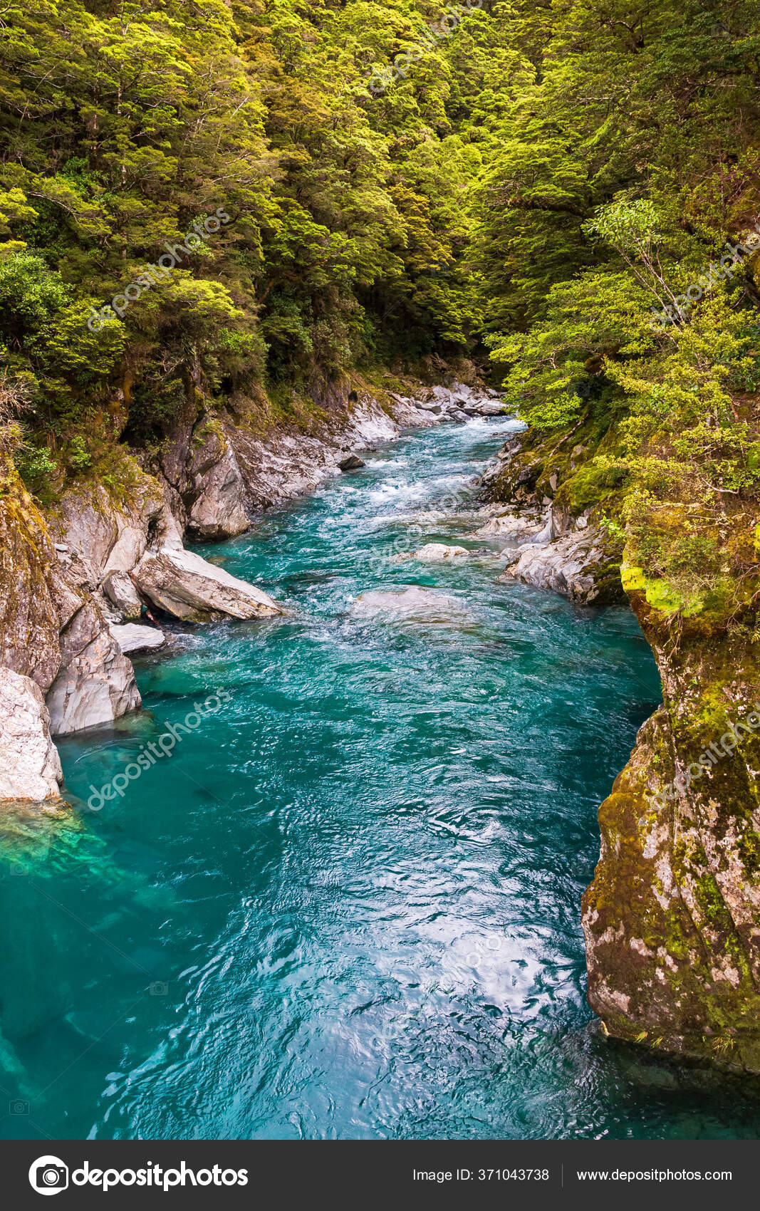 Small River New Zealand South Island — Stock Photo © LVictor #371043738