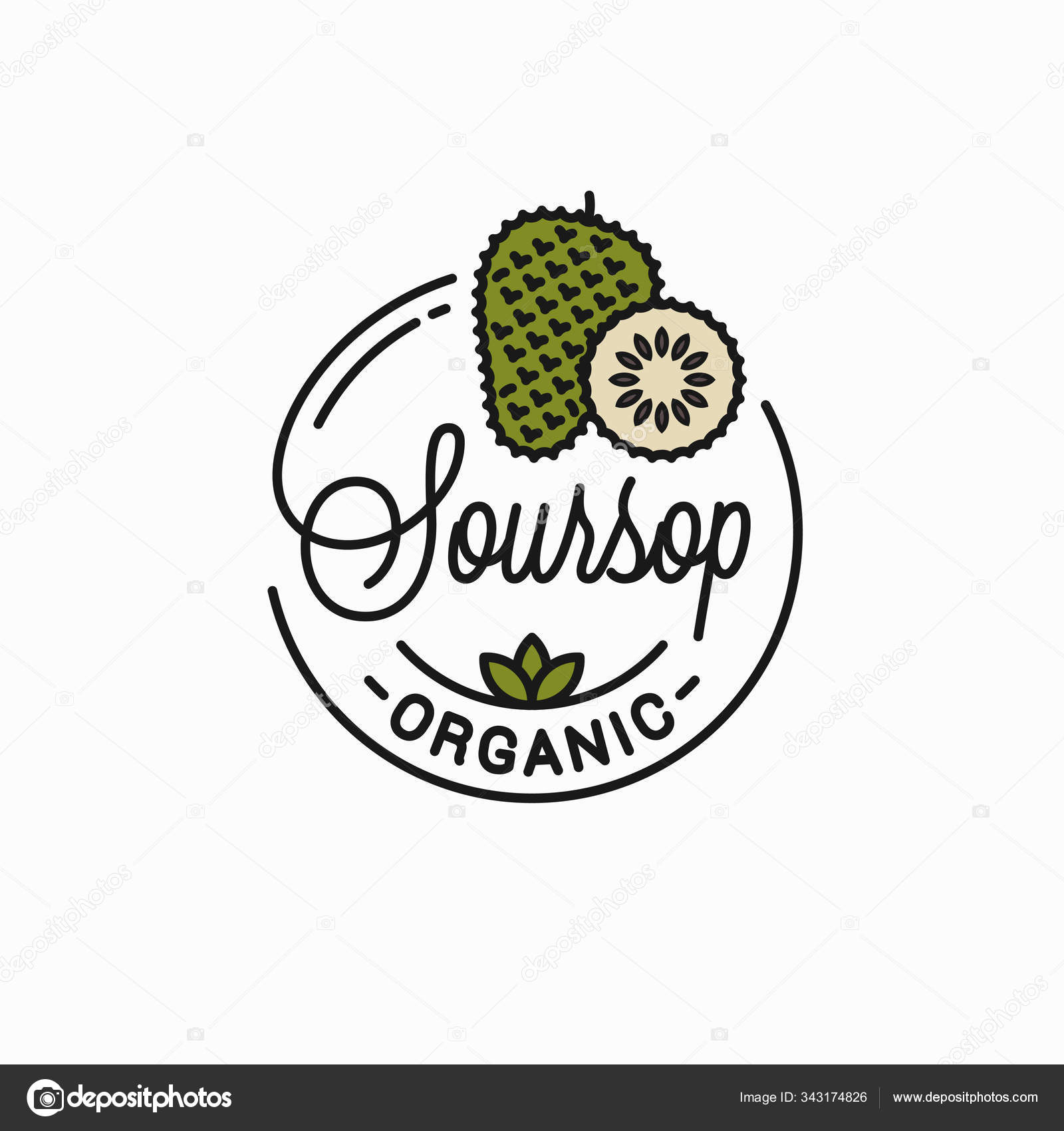 Soursop fruit logo. Round linear slice on white Stock Vector Image by ...