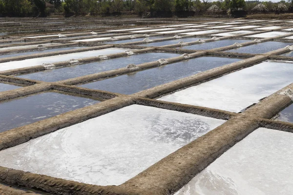 Fazendas de sal Stock Photos, Royalty Free Fazendas de sal Images ...