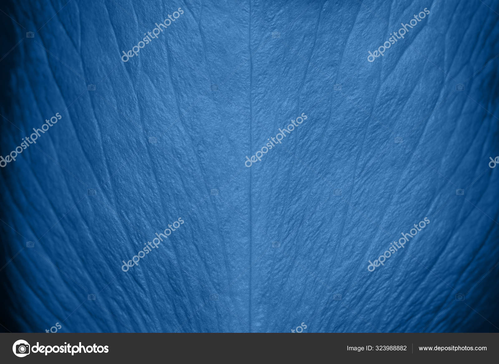 Blue Flower Petal Texture